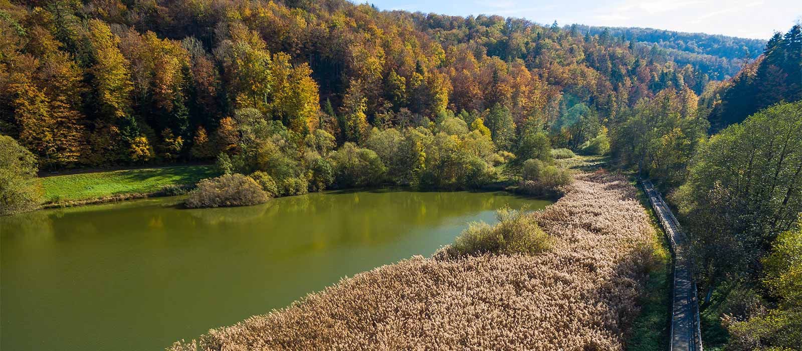 Accueil | Lac de Lucelle
