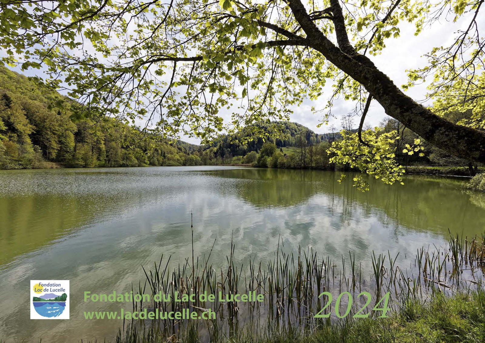 Home | Lac de Lucelle