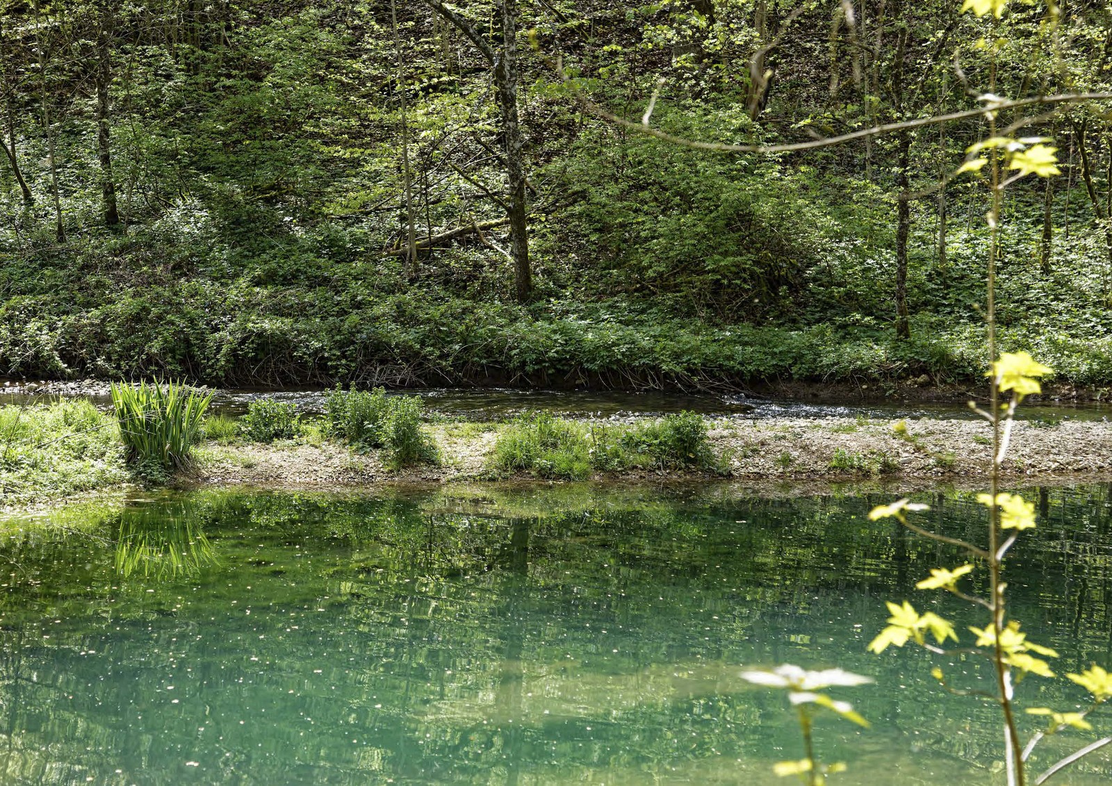Home | Lac de Lucelle