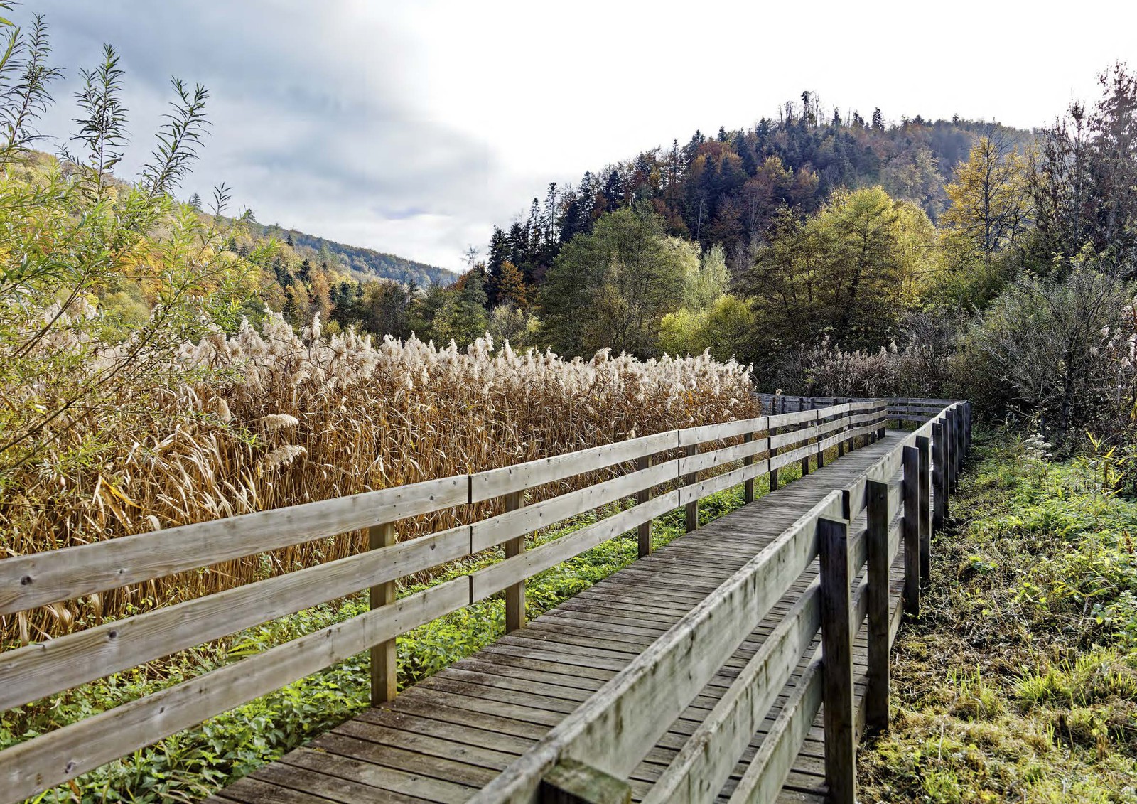 Home | Lac de Lucelle
